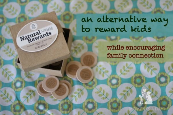 Review: Natural Rewards Idea Box - Moments A Day